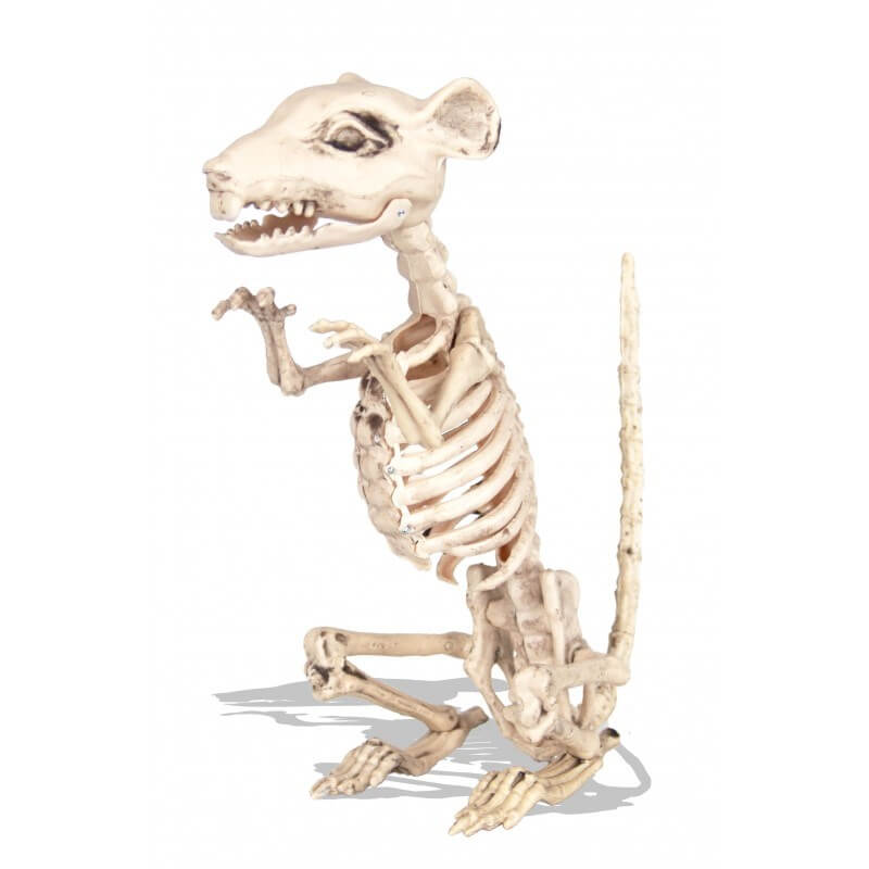 ESQUELETO DE RATA - 33CM - Sparklers Club